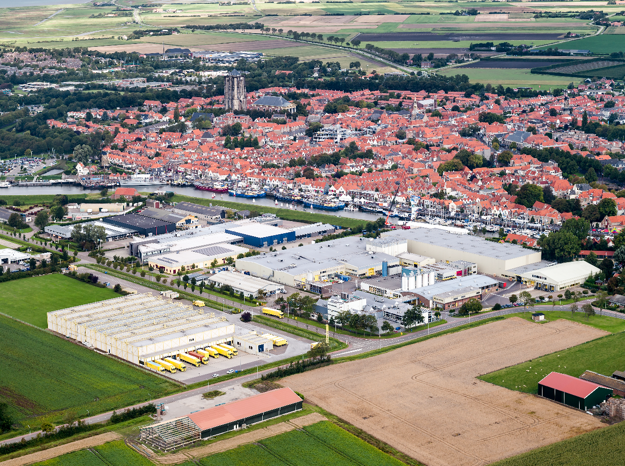 Zeelandia світовий гравець — Zeelandia Ukraine